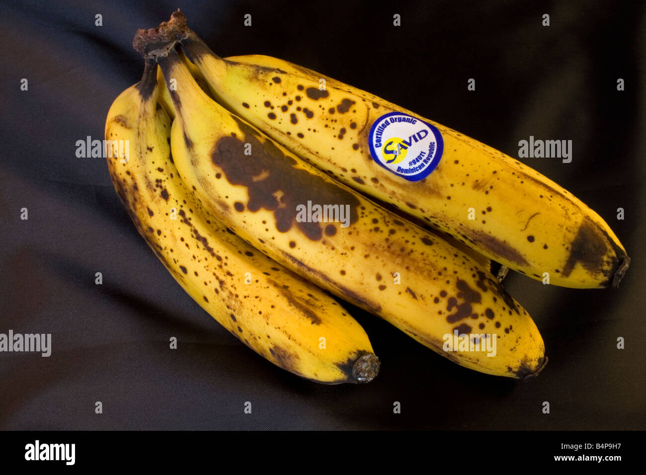 Bunch of ripe organic Dominican bananas with certified label black ...