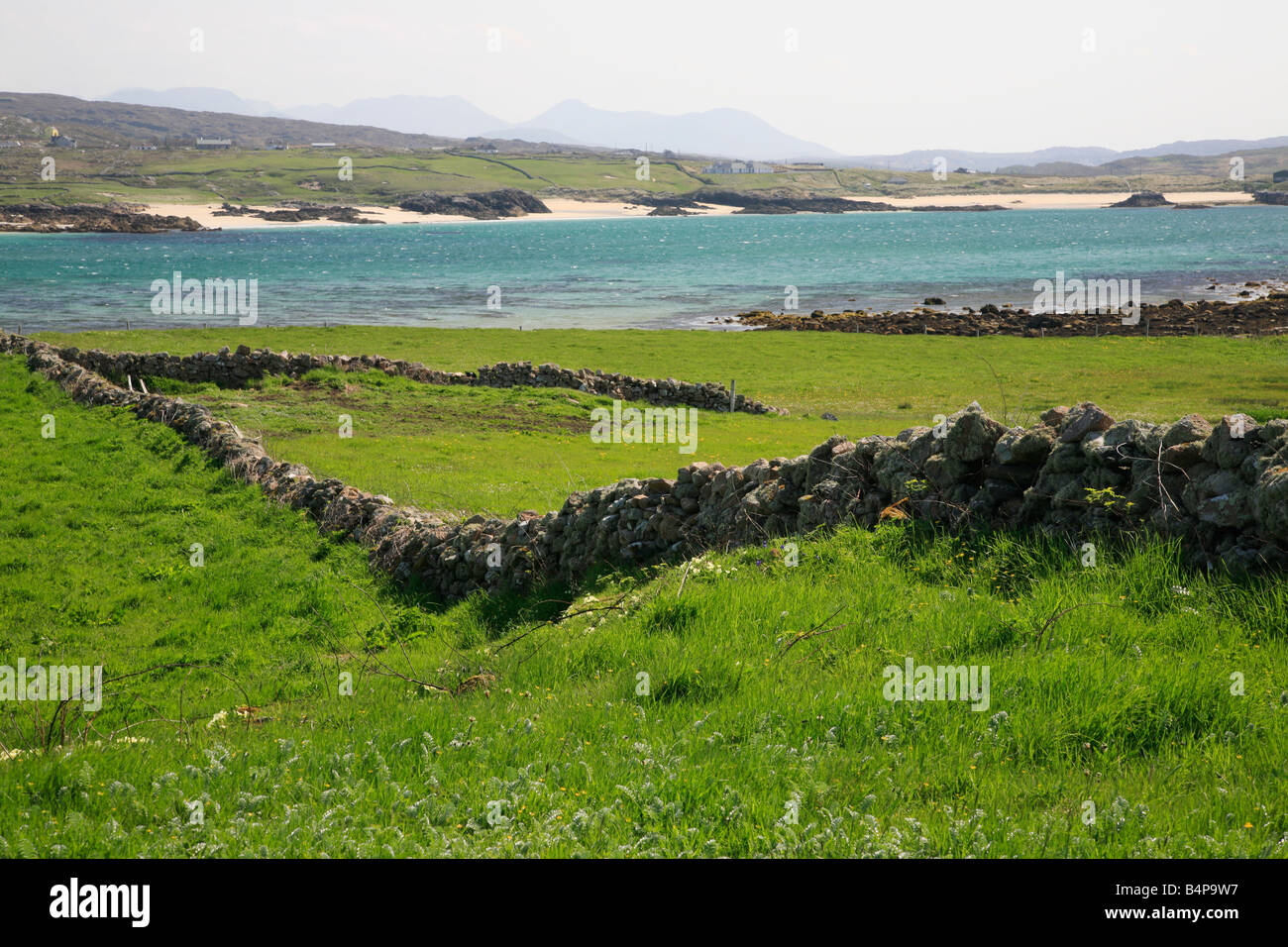 typical Irish stone wall on Omey Island, Connemara, Ireland Stock Photo ...