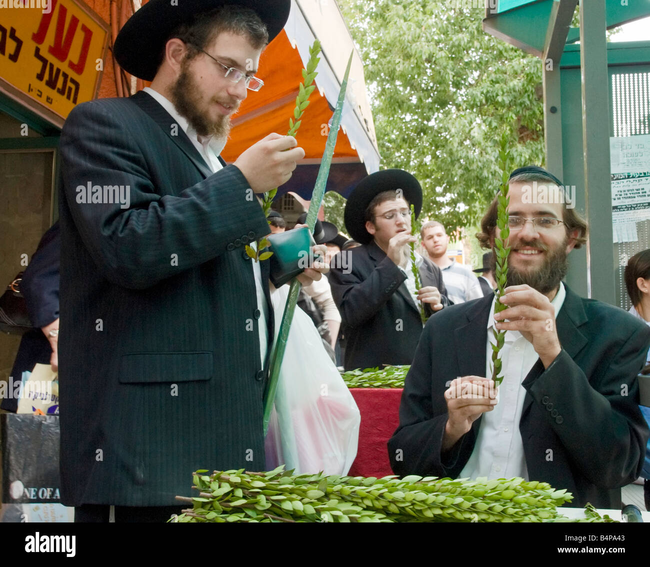 Jerusalem, Israel. People check myrtle branches for a ritual in the ...