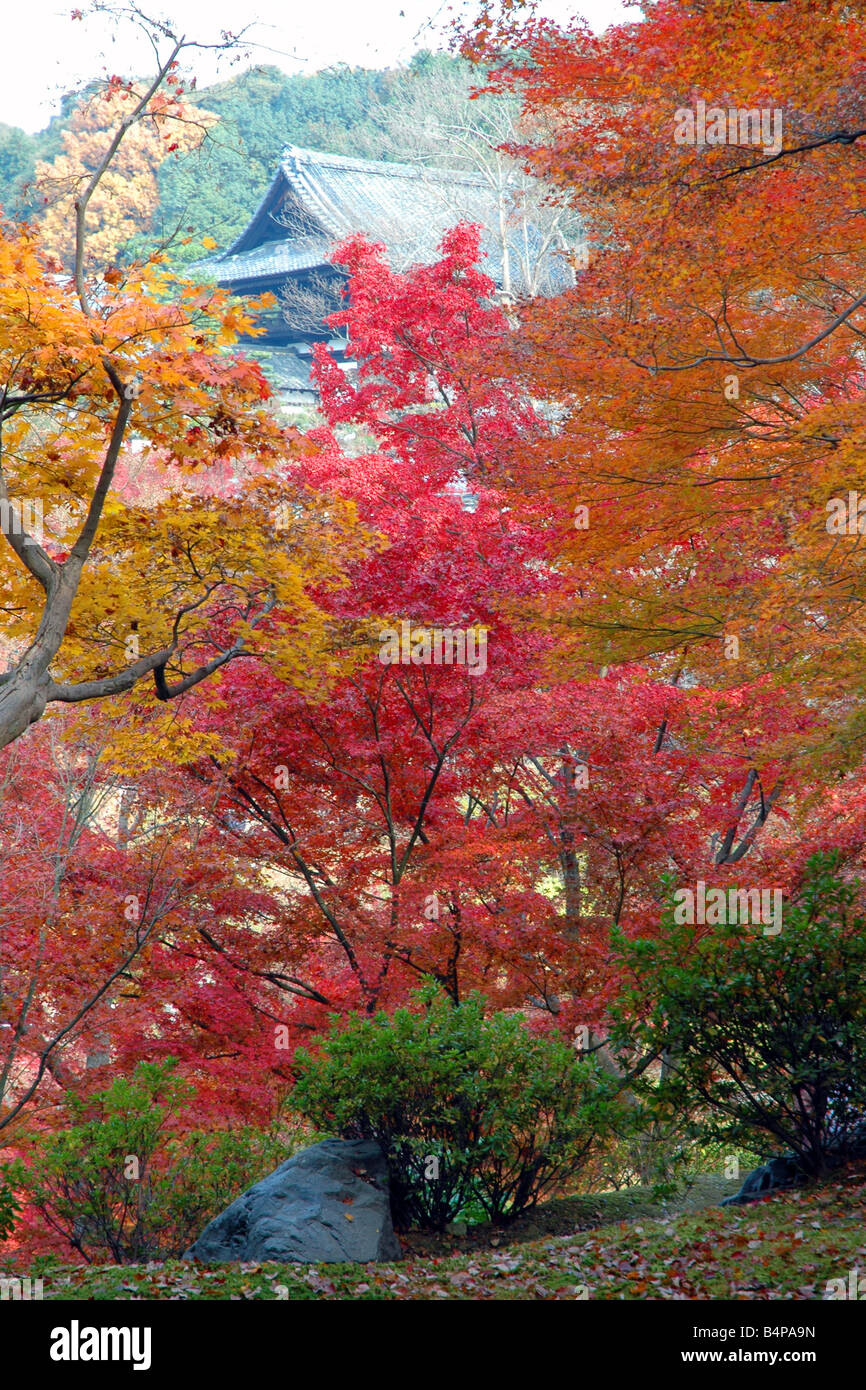 Autumn at Tofukuji Temple, Kyoto, Japan Stock Photo - Alamy