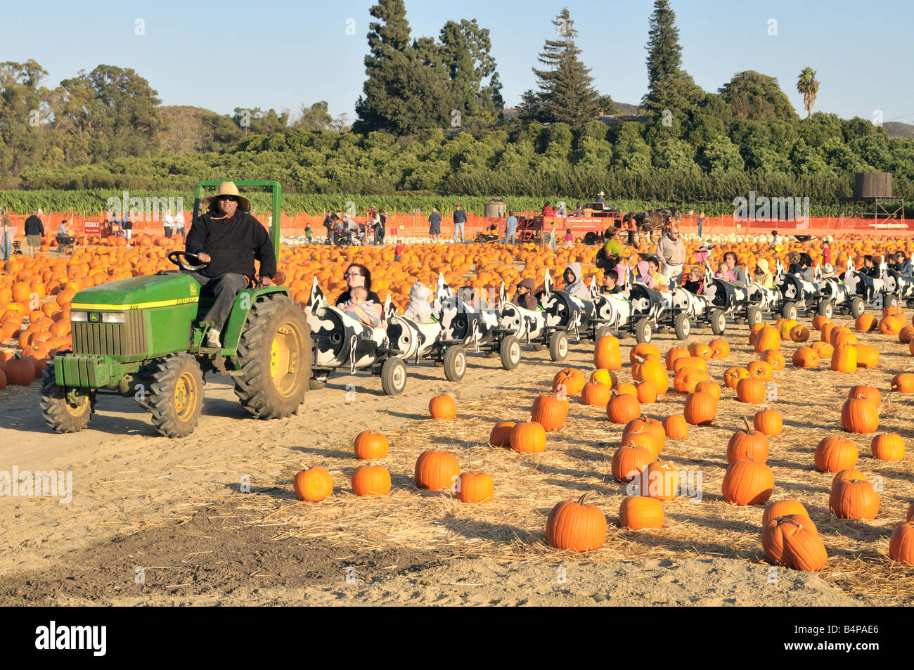 Tractor train ride hi-res stock photography and images - Alamy