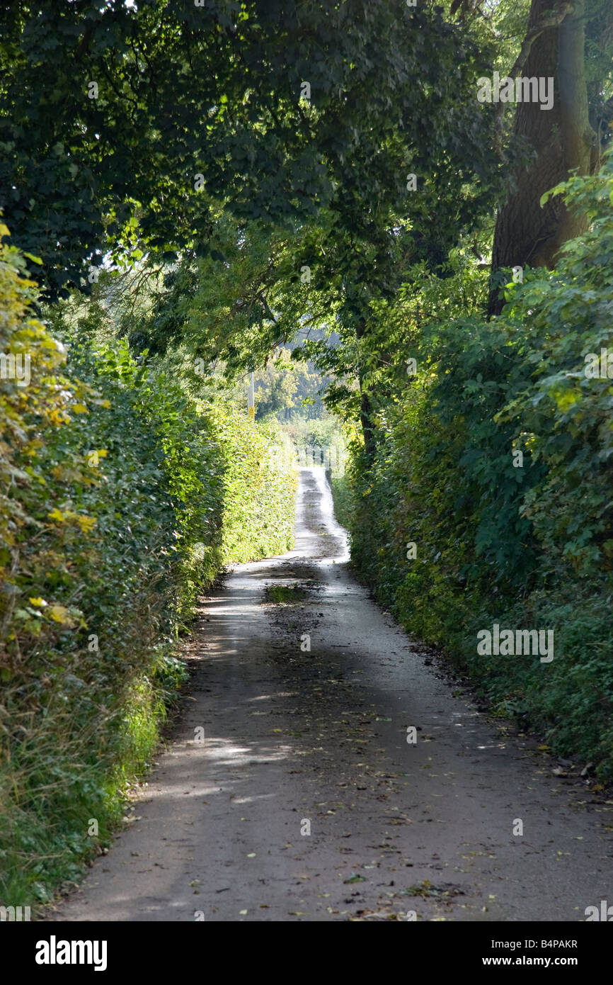 Narrow country road hedges hi-res stock photography and images - Alamy