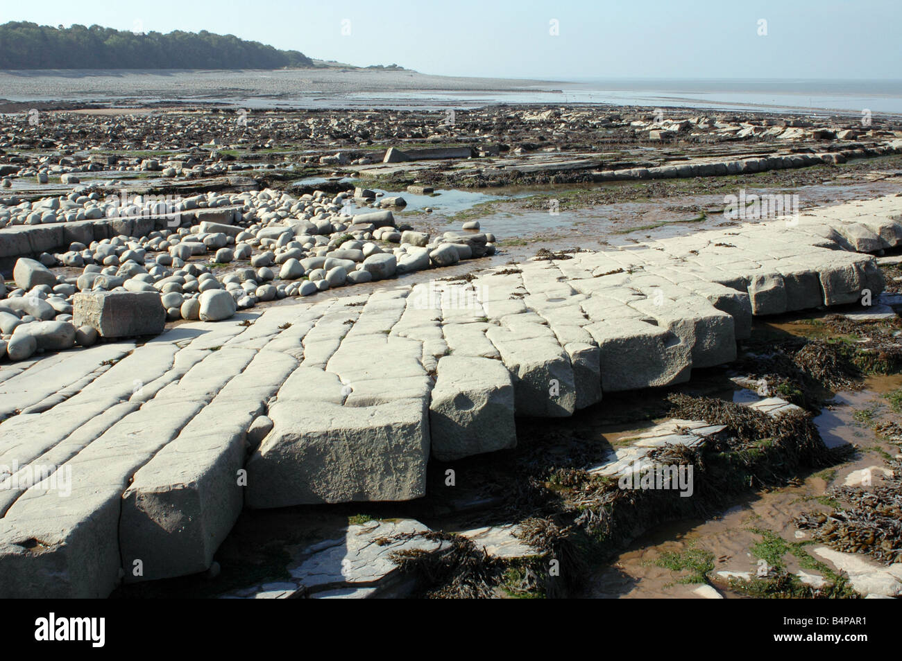 Blue lias lilstock hi-res stock photography and images - Alamy