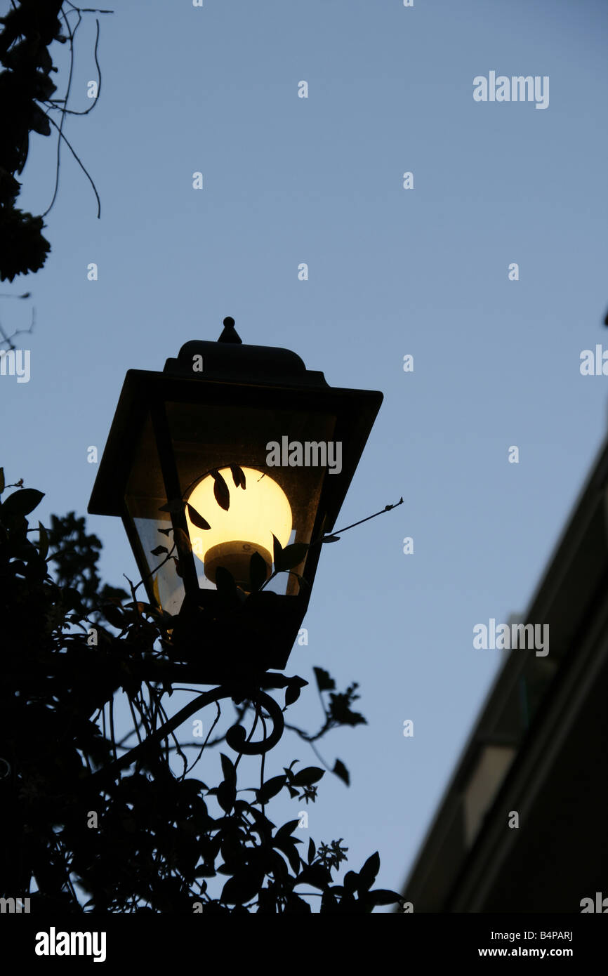 one street lamp post pole at night Stock Photo - Alamy