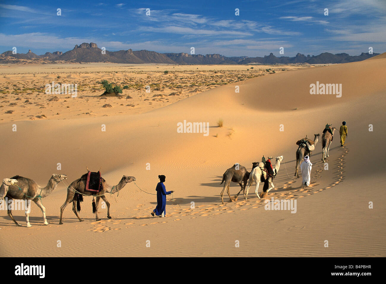 Algeria Djanet Men of Tuareg tribe and camel caravan Sahara desert ...