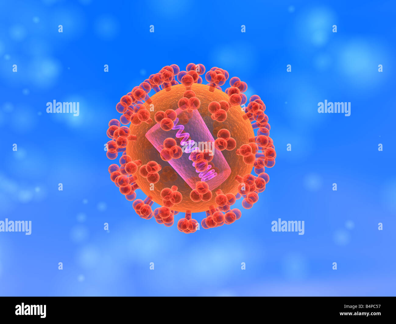 Hi virus hiv aids hi-res stock photography and images - Alamy