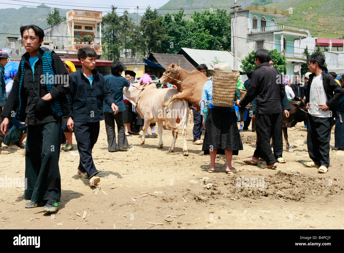 Hmong tribespeople at Dong Van market, Ha Giang Province, Vietnam Stock ...