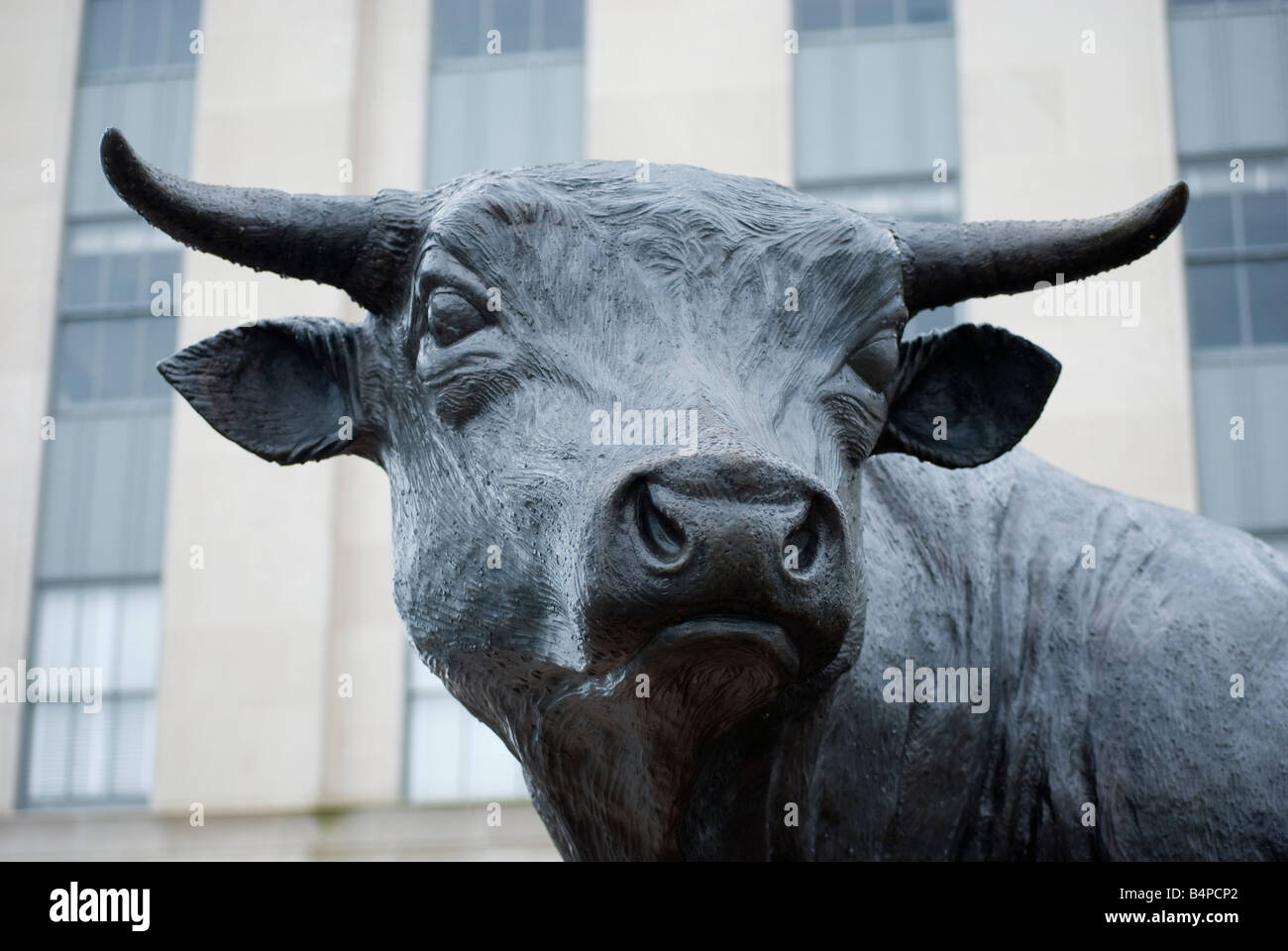 Bull durham hi-res stock photography and images - Alamy