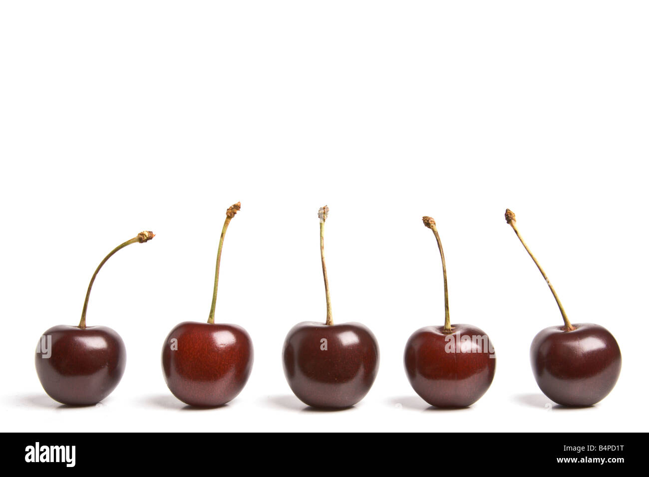 Five sweet cherries isolated on white Stock Photo - Alamy