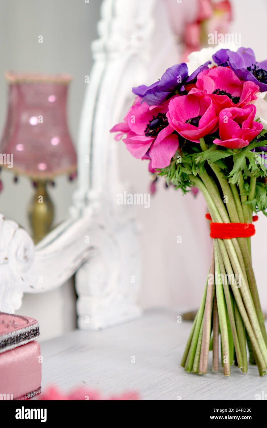 Plant on dressing table mirror hi-res stock photography and images - Alamy