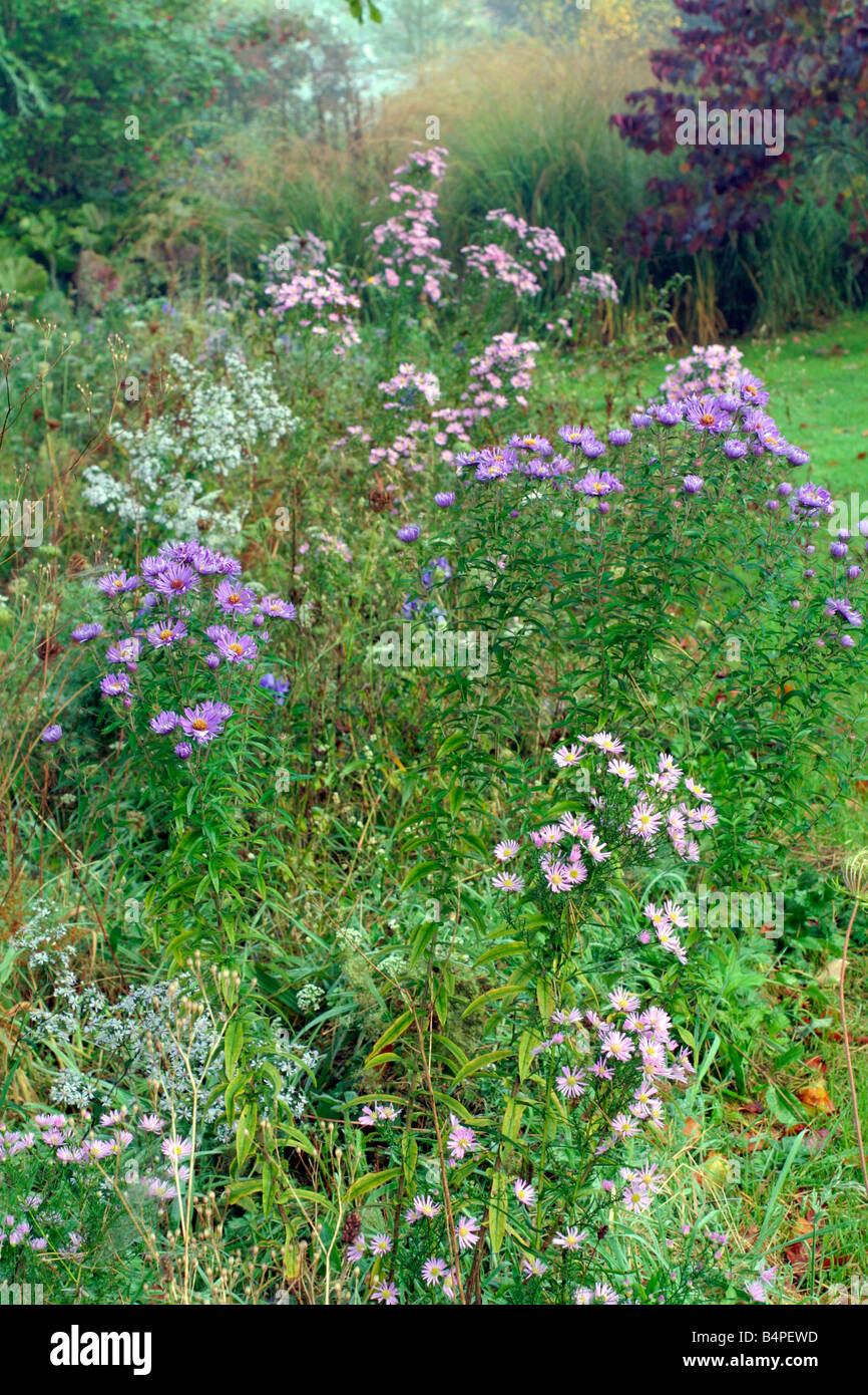 Naturalistic plantings hi-res stock photography and images - Alamy