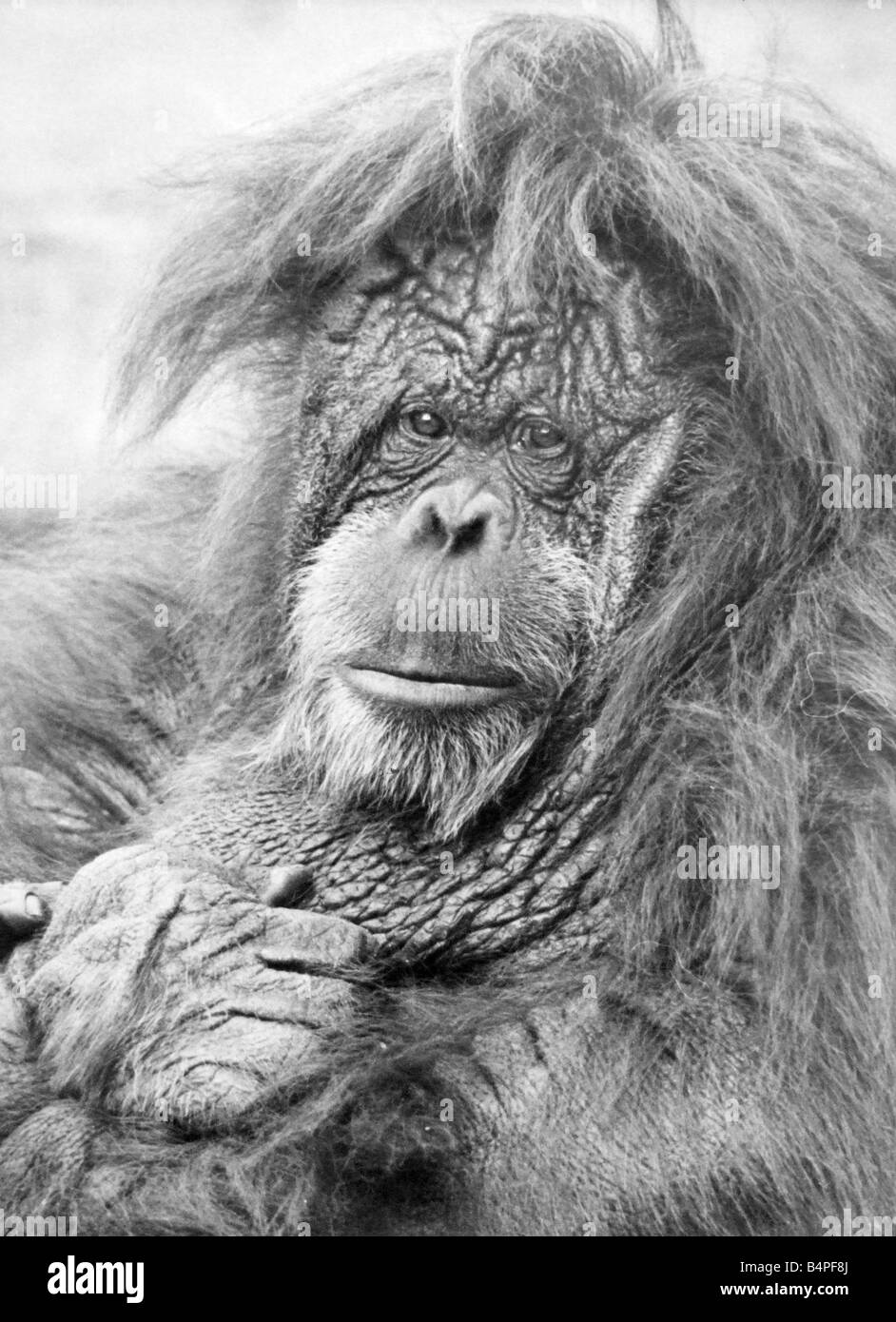 Available day Black and White Stock Photos & Images - Alamy