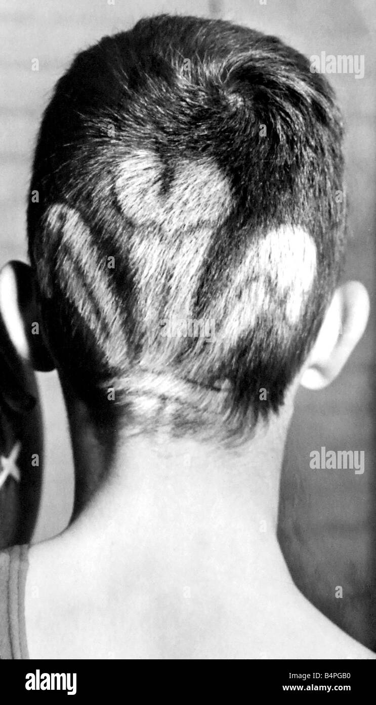 Schoolboy boxing champion Gavin Jacobs patriotic hairstyle knocked out ...