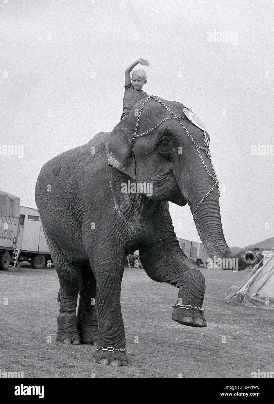 Five year old Guy Davies has one ambition in life to work with ...