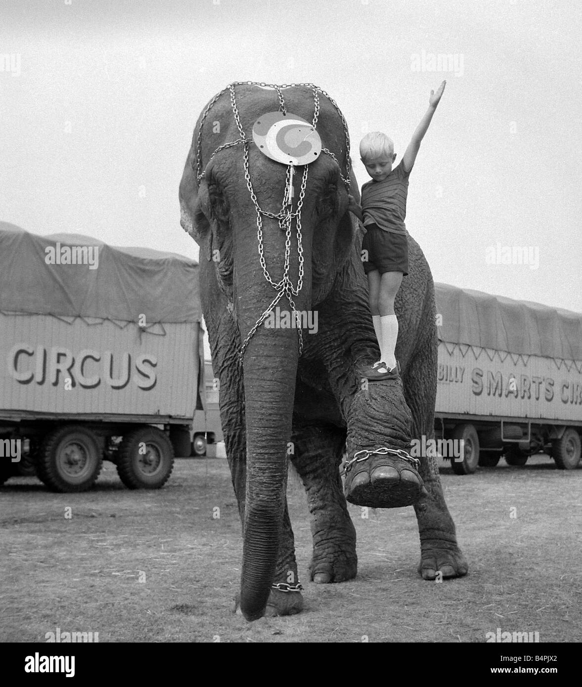 Five year old Guy Davies has one ambition in life to work with ...