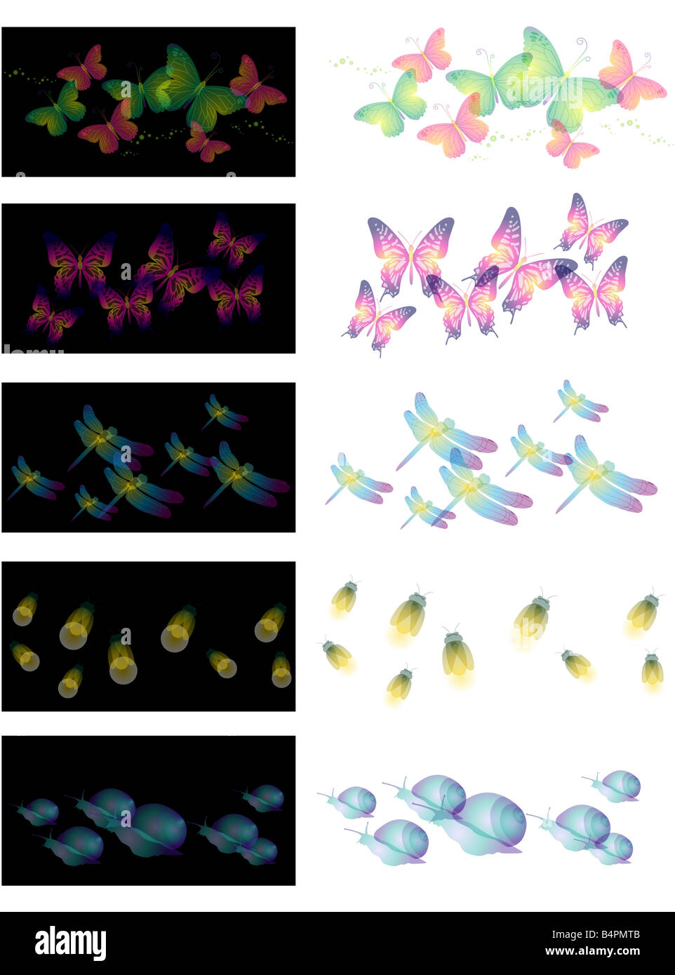 Representation of different creatures Stock Photo - Alamy