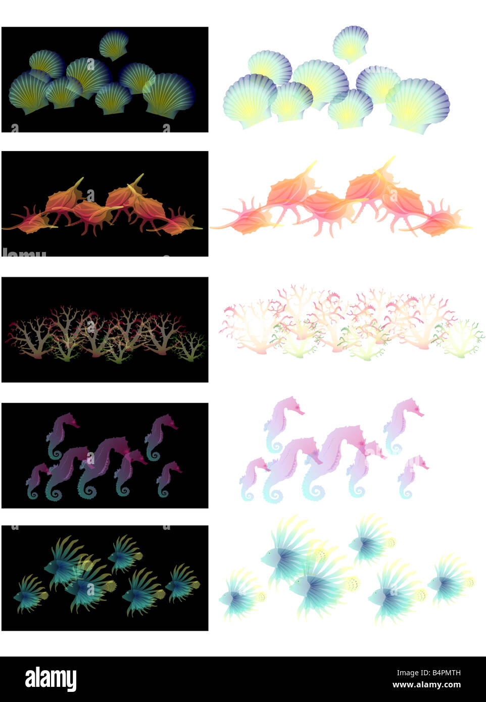 Representation of different marine creatures Stock Photo - Alamy