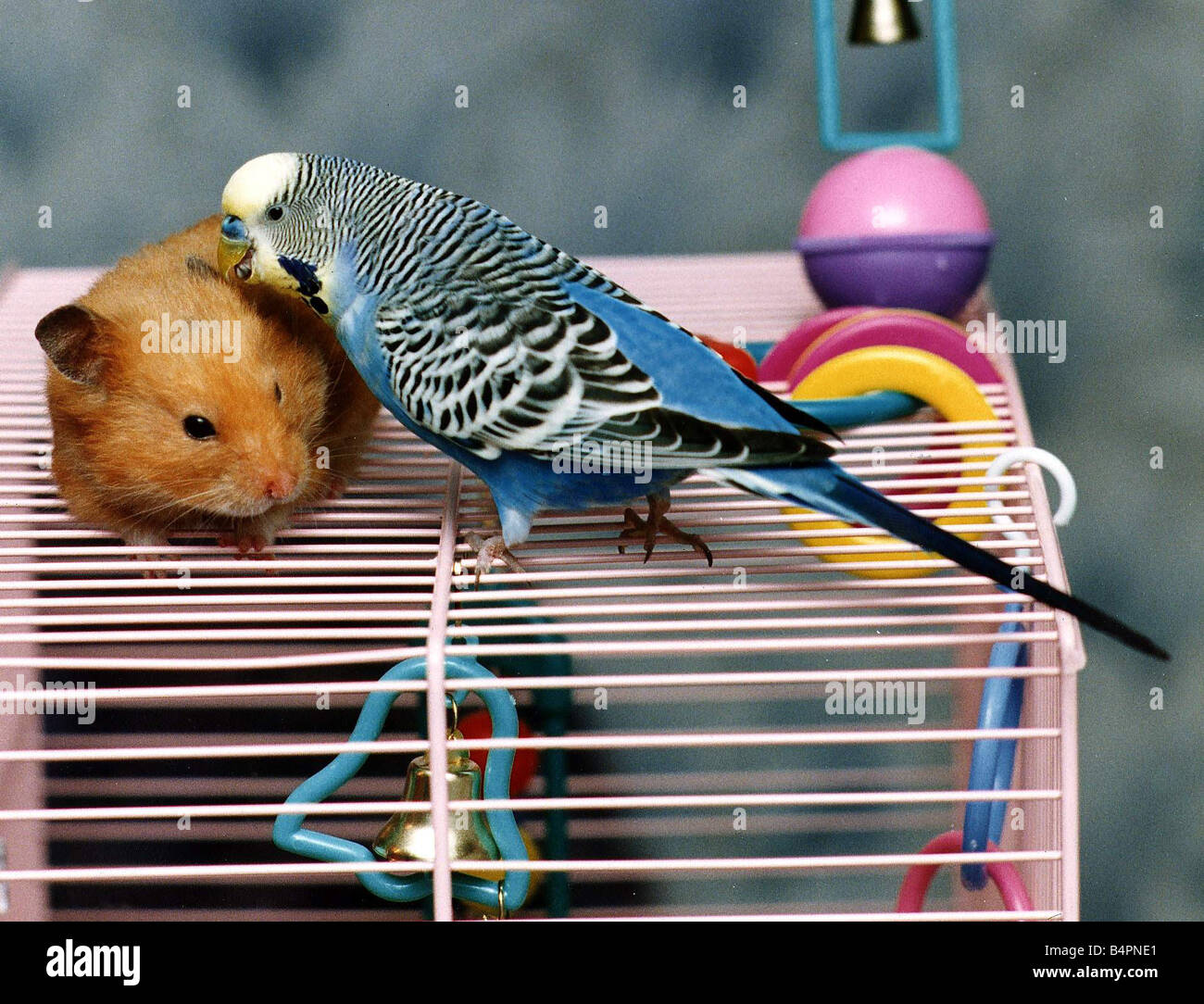 Blue circa hi-res stock photography and images - Alamy