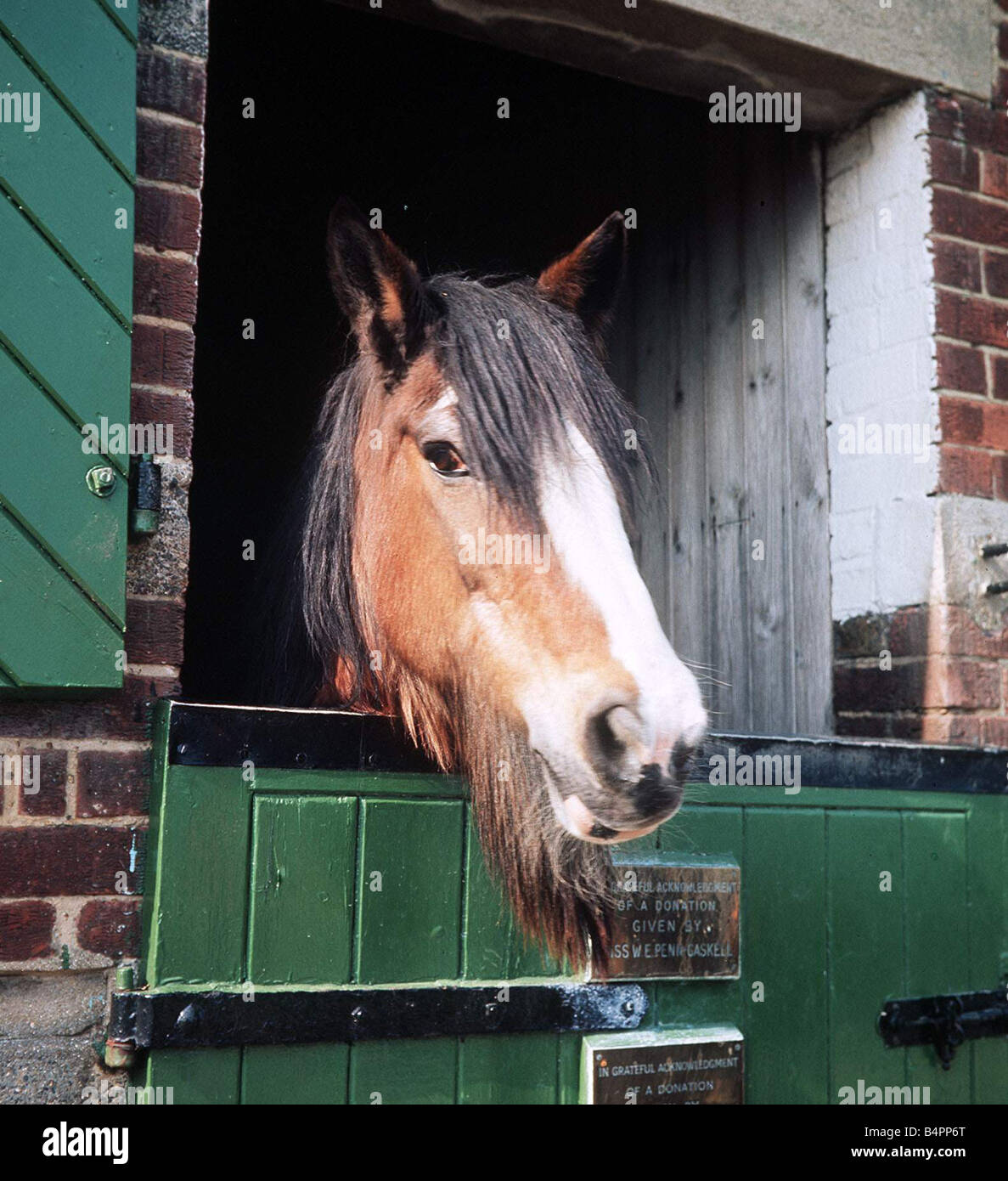 Horse stables 1960s hi-res stock photography and images - Alamy