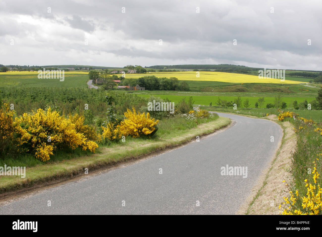 Countryside near Fetterangus and Mintlaw in Aberdeenshire, North East ...