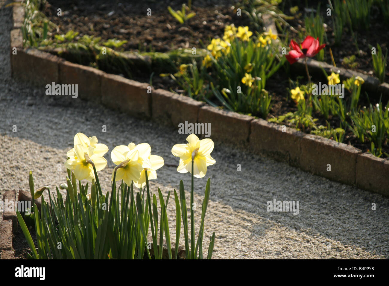 Small garden path symmetry hi-res stock photography and images - Alamy