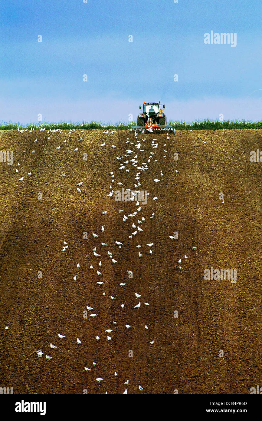 A general farming scene Tractor ploughing a field circa 2000 Stock ...