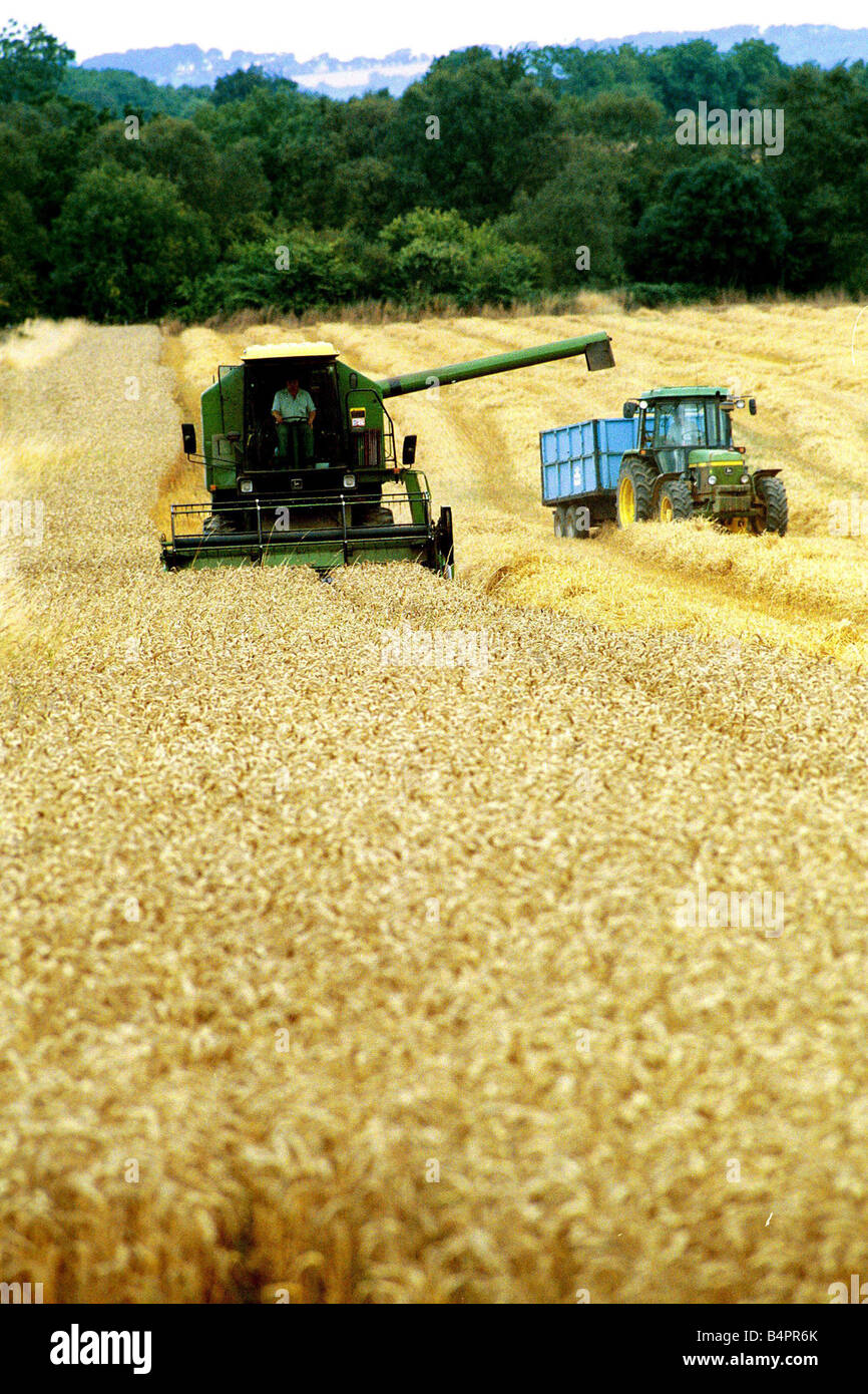 A general farming scene Harvester reaping the corn circa 2006 Stock ...
