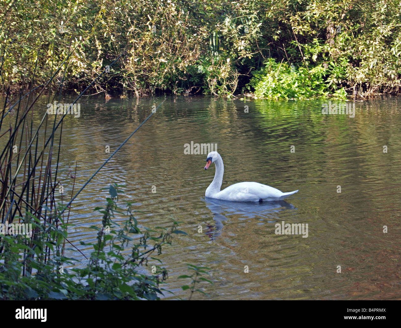 Golden hills river on hi-res stock photography and images - Alamy