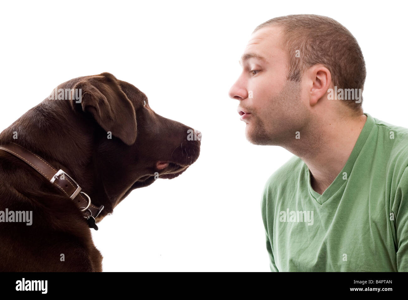 A man with his chocolate Labrador Stock Photo - Alamy