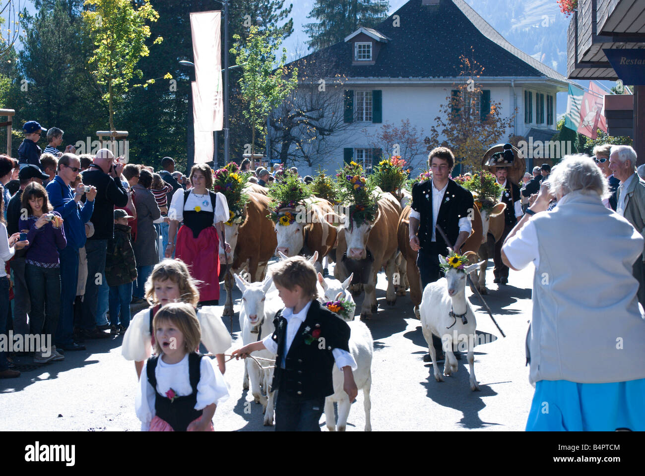 Swiss children and adults dressed in traditional folk costumes lead ...