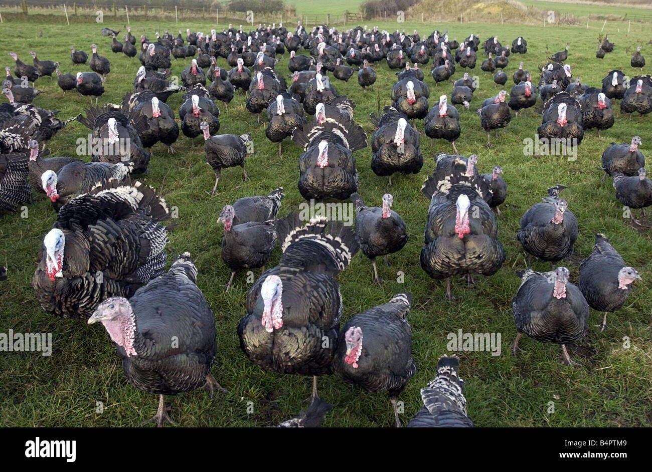 Core03 hi-res stock photography and images - Alamy