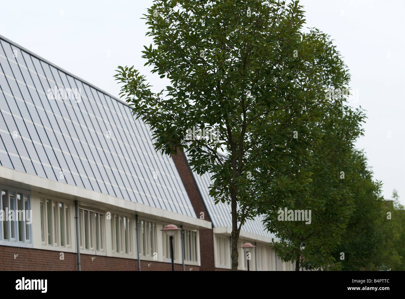 Shell solar panels fitted to houses on the world's largest solar ...