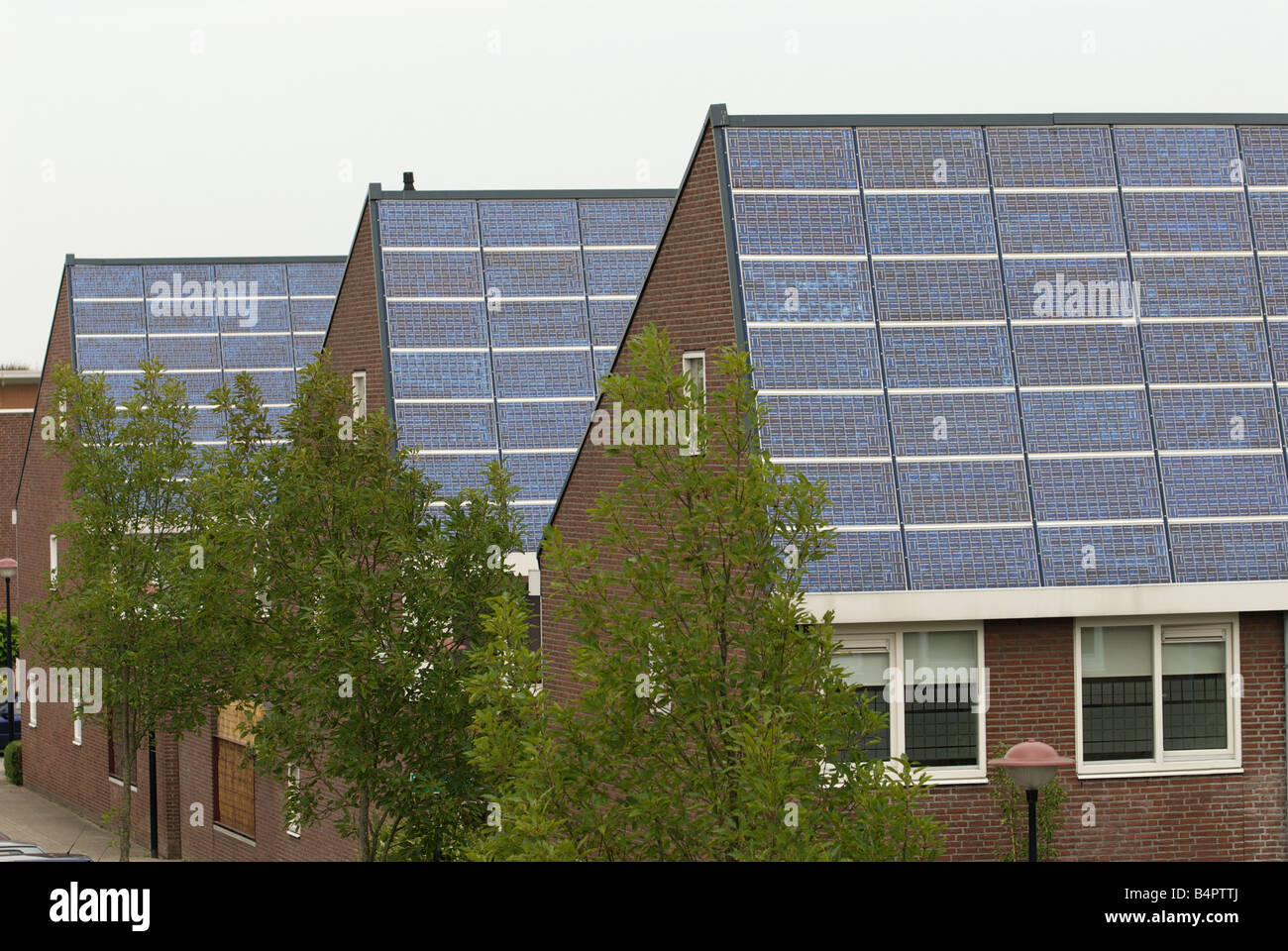 Shell solar panels fitted to houses on the world's largest solar ...
