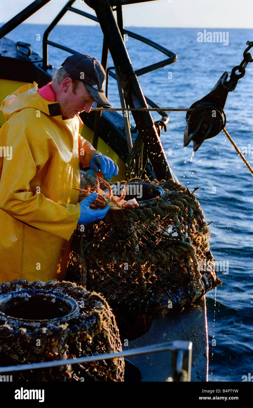 Crab fishing off South West coast of Devon England UK Stock Photo - Alamy