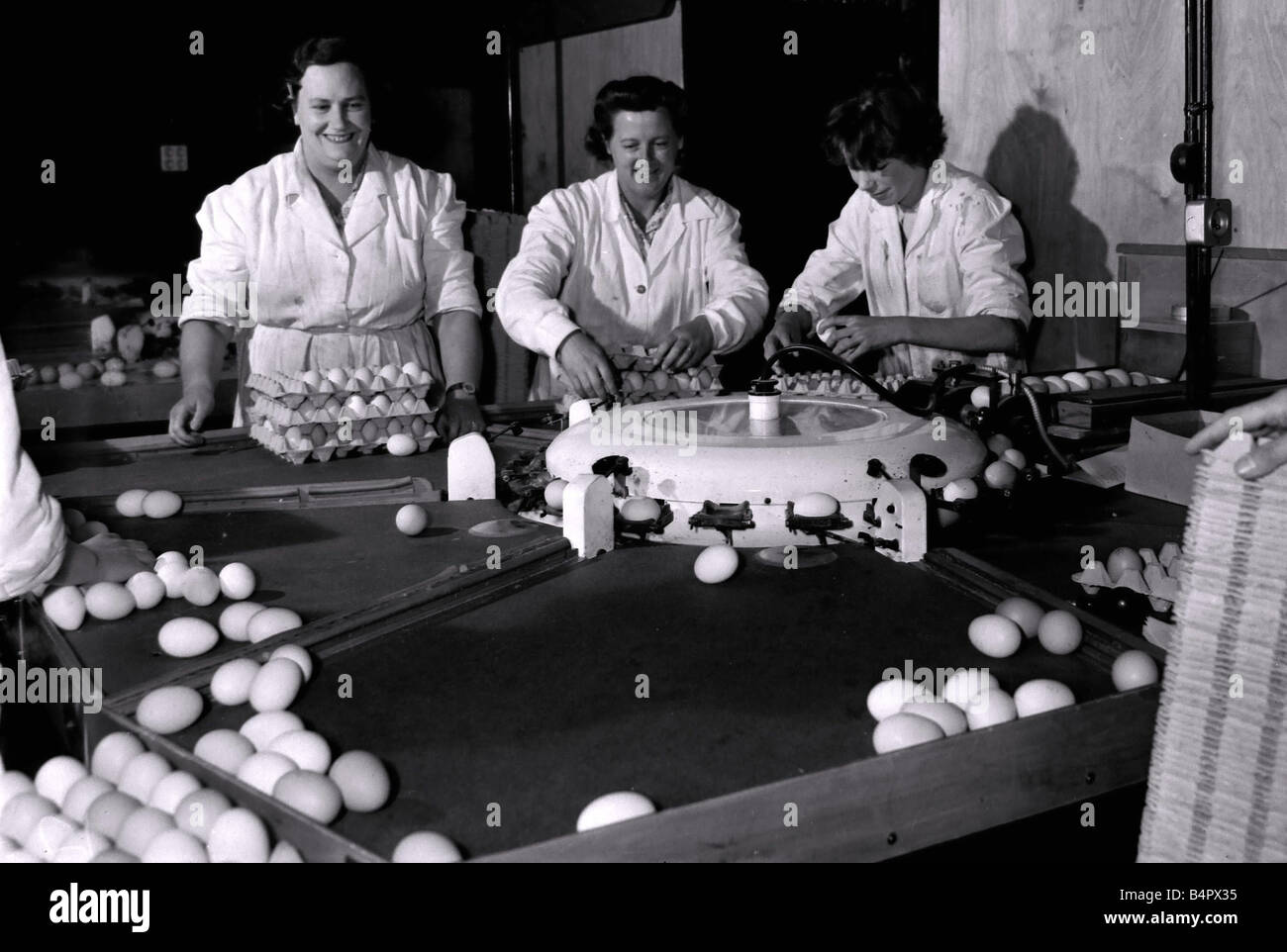 Sorting eggs on a grading machine are left to right Miss Muriel Collins ...
