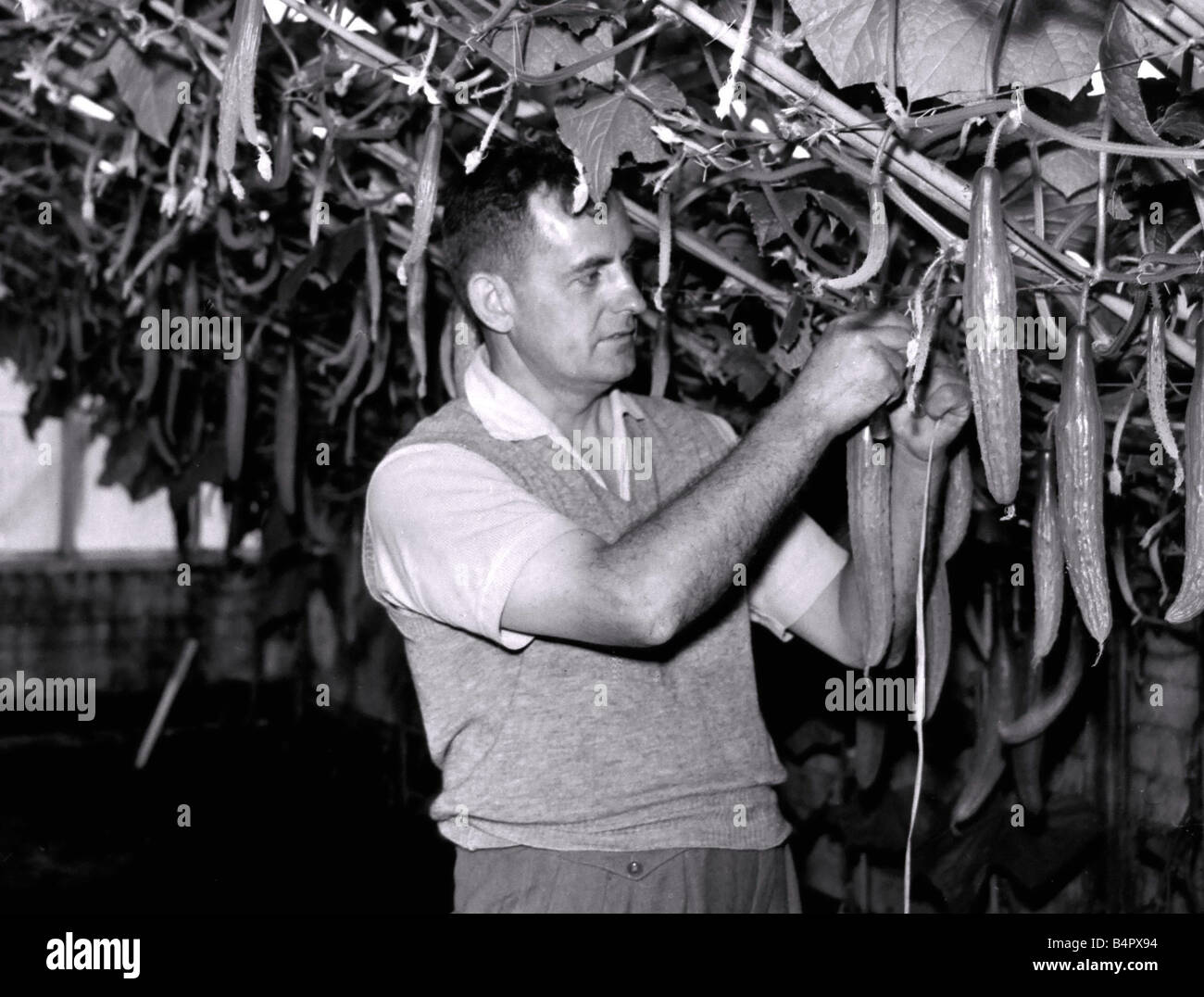 Jim jackson hi-res stock photography and images - Alamy