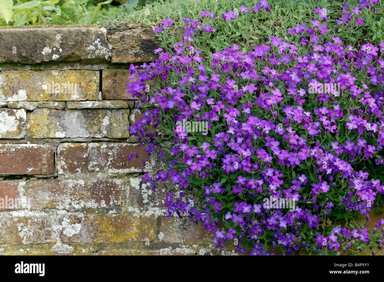 Sherbourne park hi-res stock photography and images - Alamy