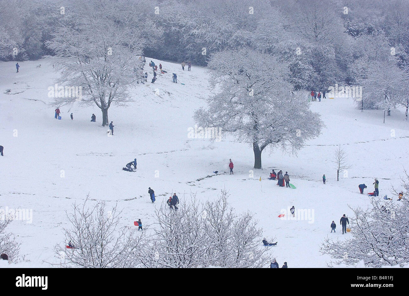 Snow at the Lickey Hills Stock Photo - Alamy