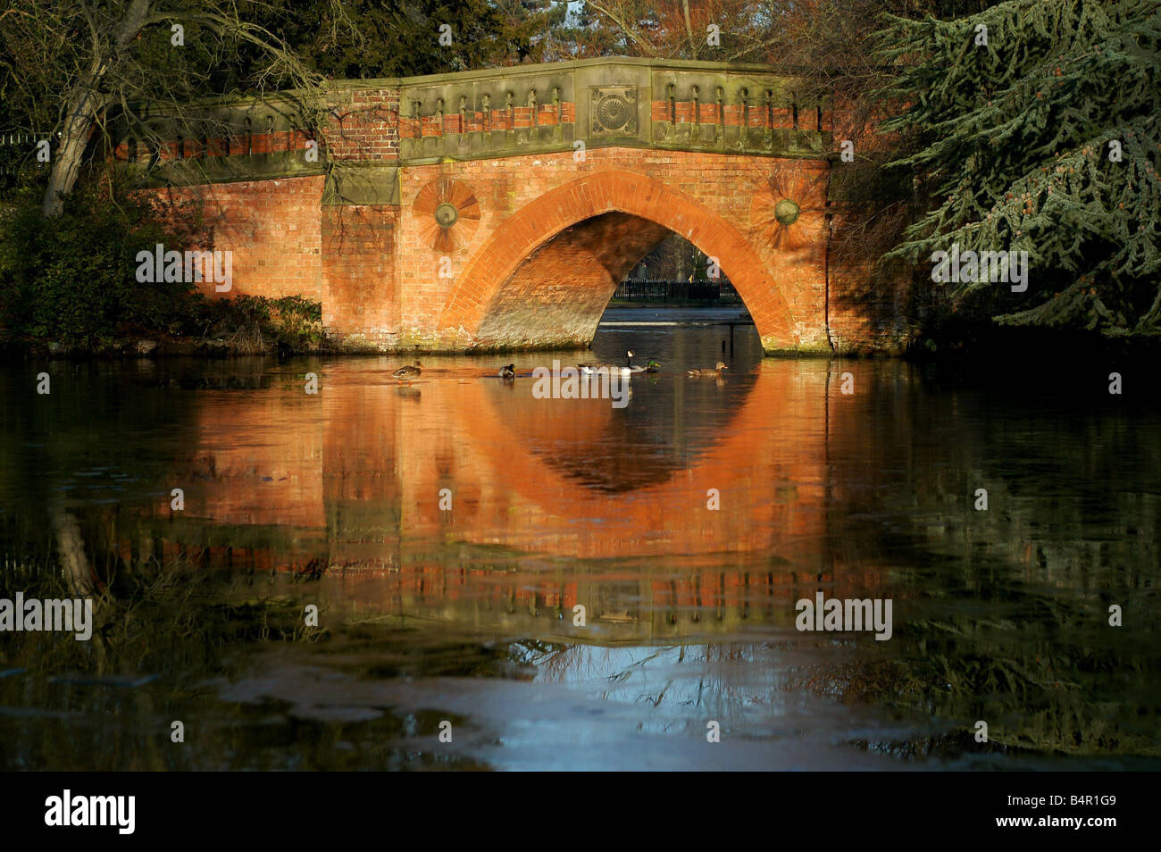 Bridge over the lake at Cannon Hill Park Stock Photo - Alamy