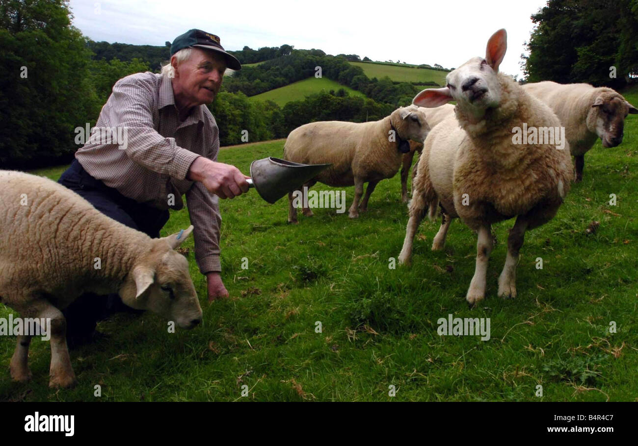 Tudor Ress pictured feeding his blind sheep 10th Aug 2005 Stock Photo ...