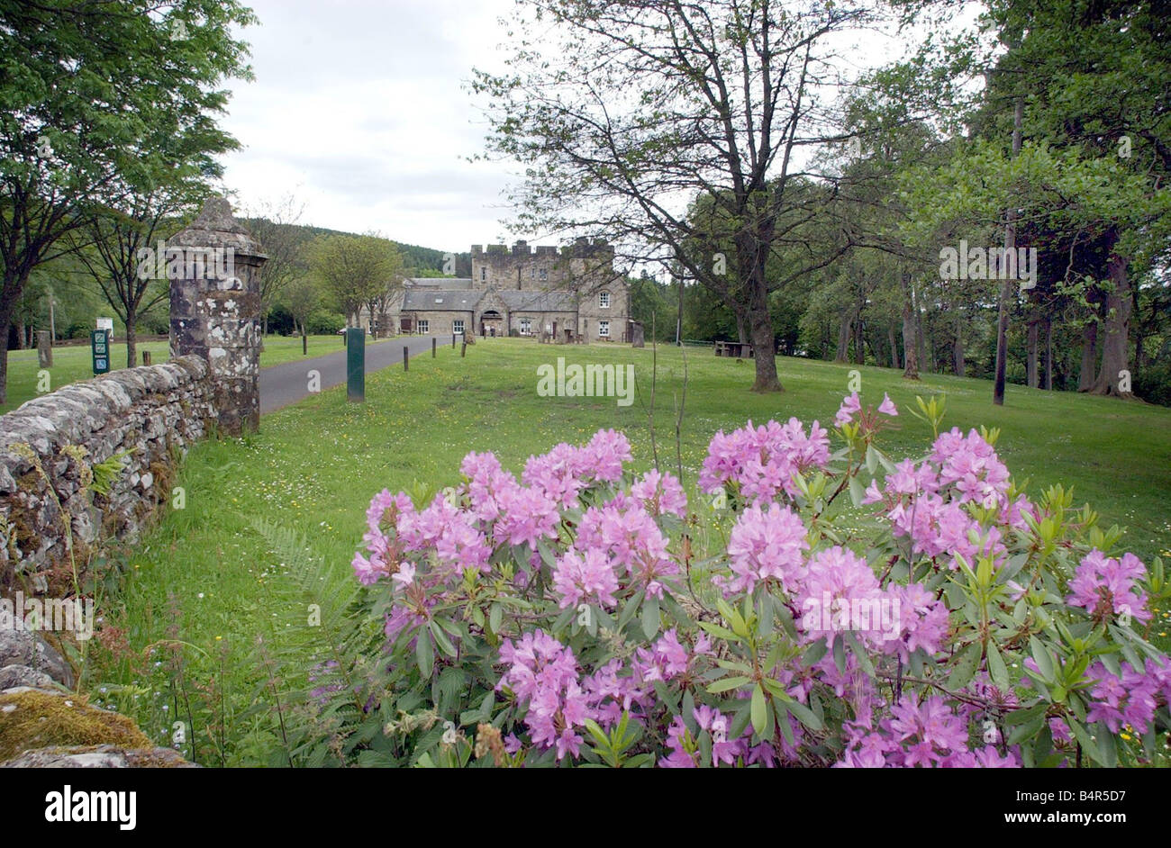 A stock picture of Kielder Castle Stock Photo - Alamy