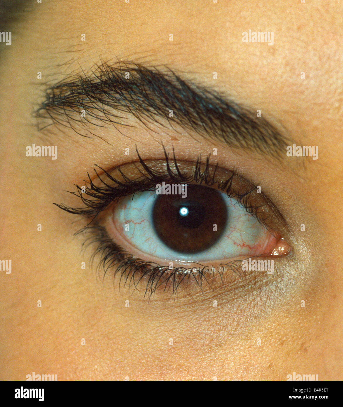 A womans eye Stock Photo - Alamy