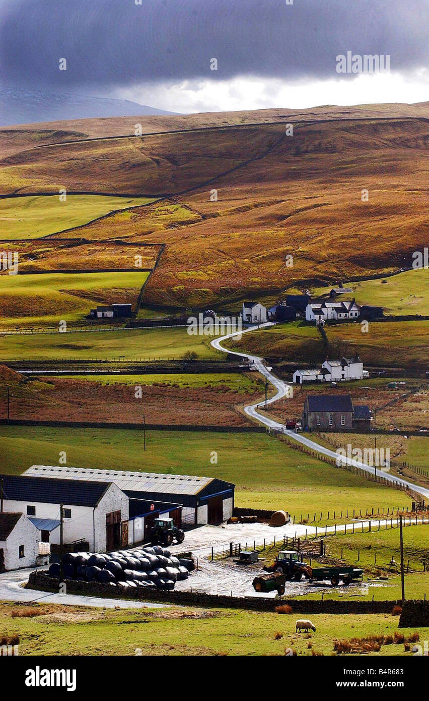 Teesdale isolated farms at Harwood 22 03 04 Stock Photo - Alamy