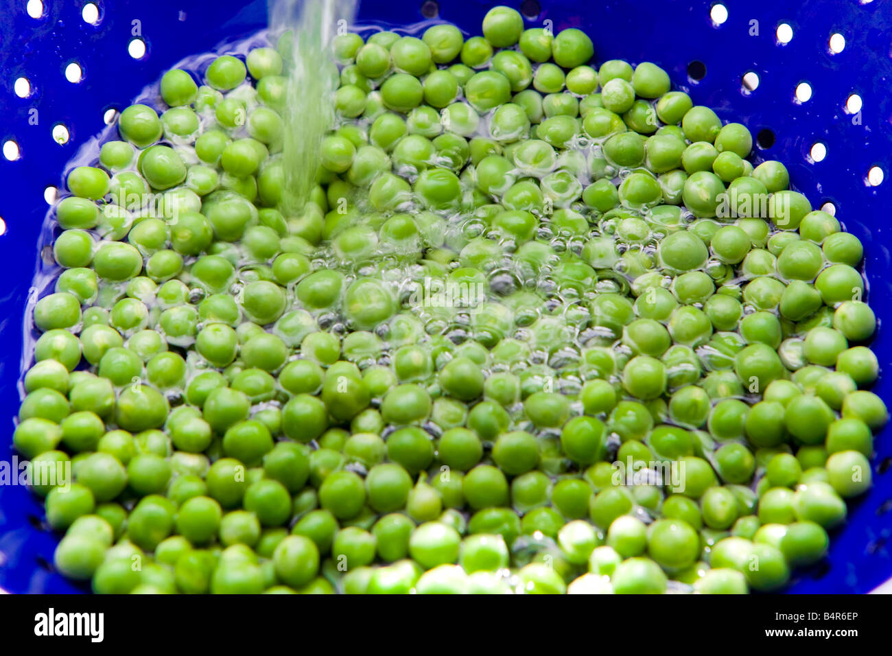 washed garden peas Stock Photo - Alamy