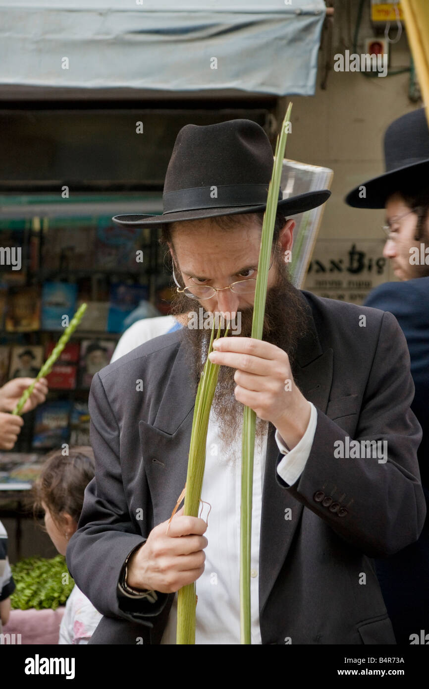 Jerusalem,Israel.An ultra-orthodox (Charedi) man checks a palm branch ...