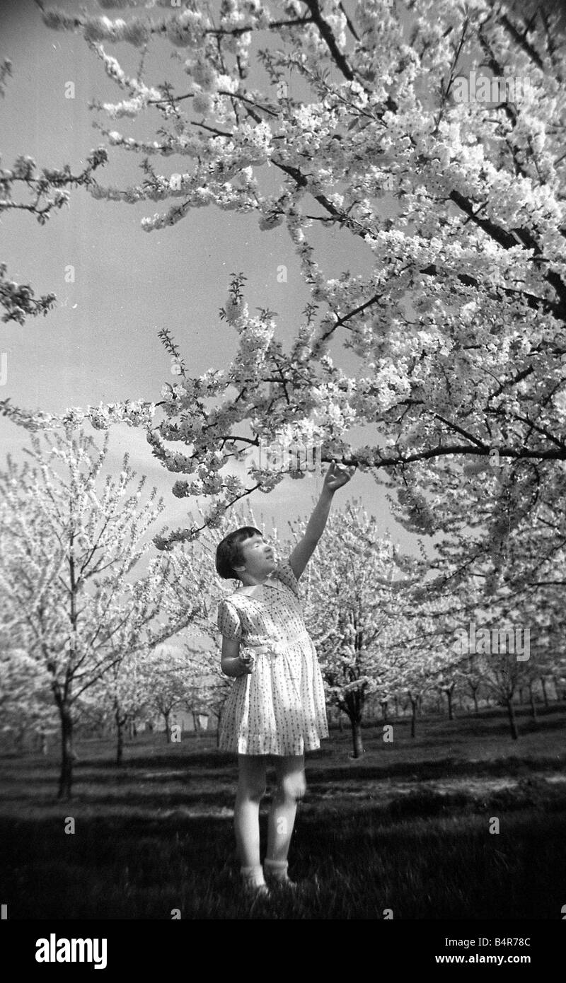 Girl is reaching a fruit hi-res stock photography and images - Alamy