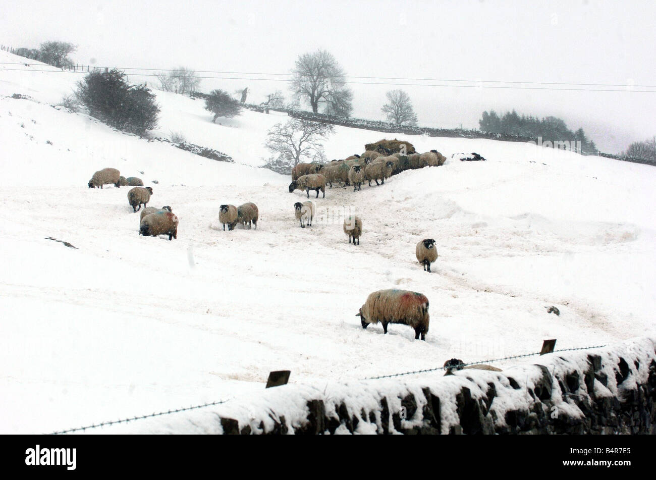 Winter Weather Snow scenes February 2005 A pretty snowy scene near ...