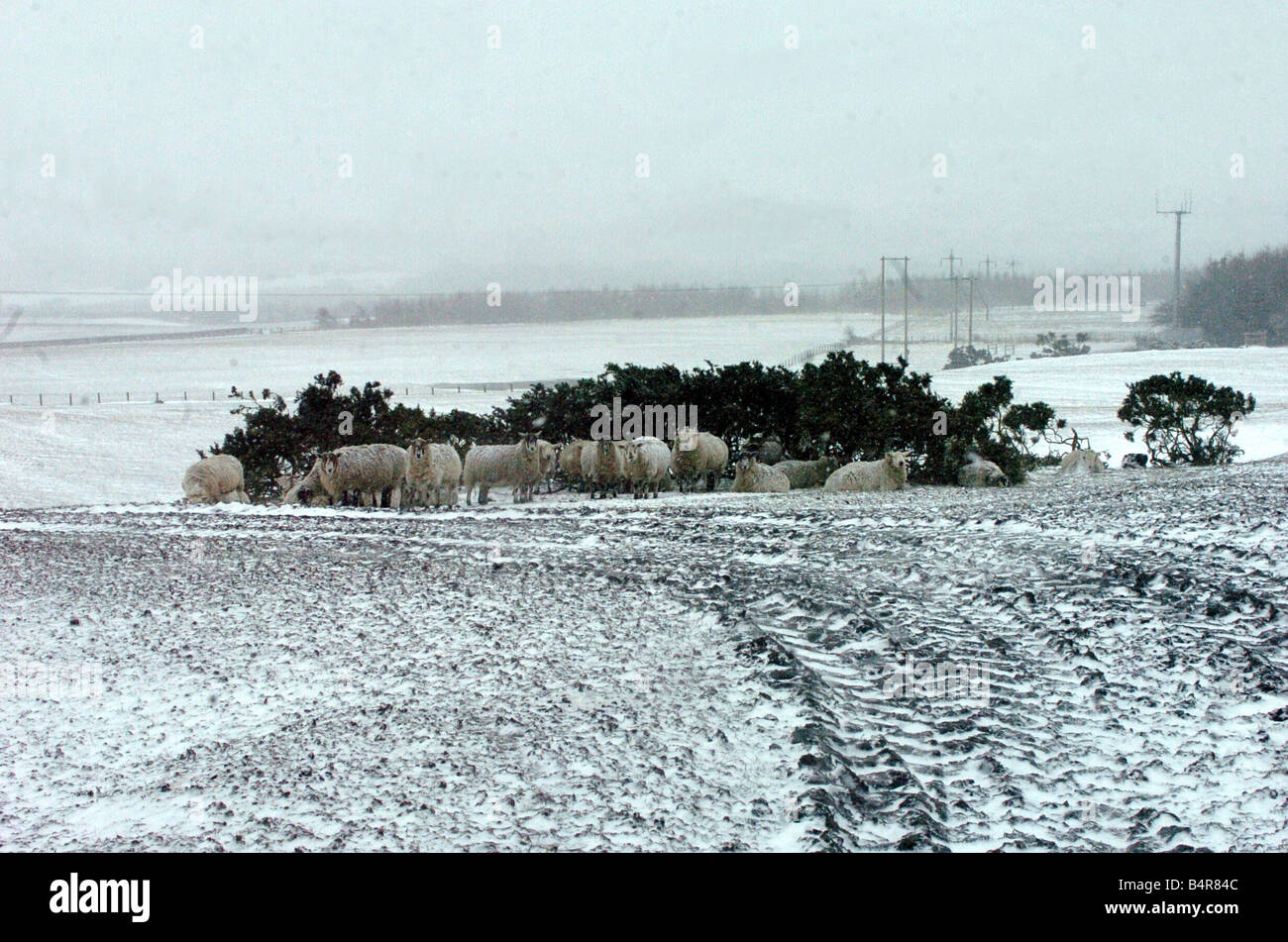 Weather and farming hi-res stock photography and images - Alamy