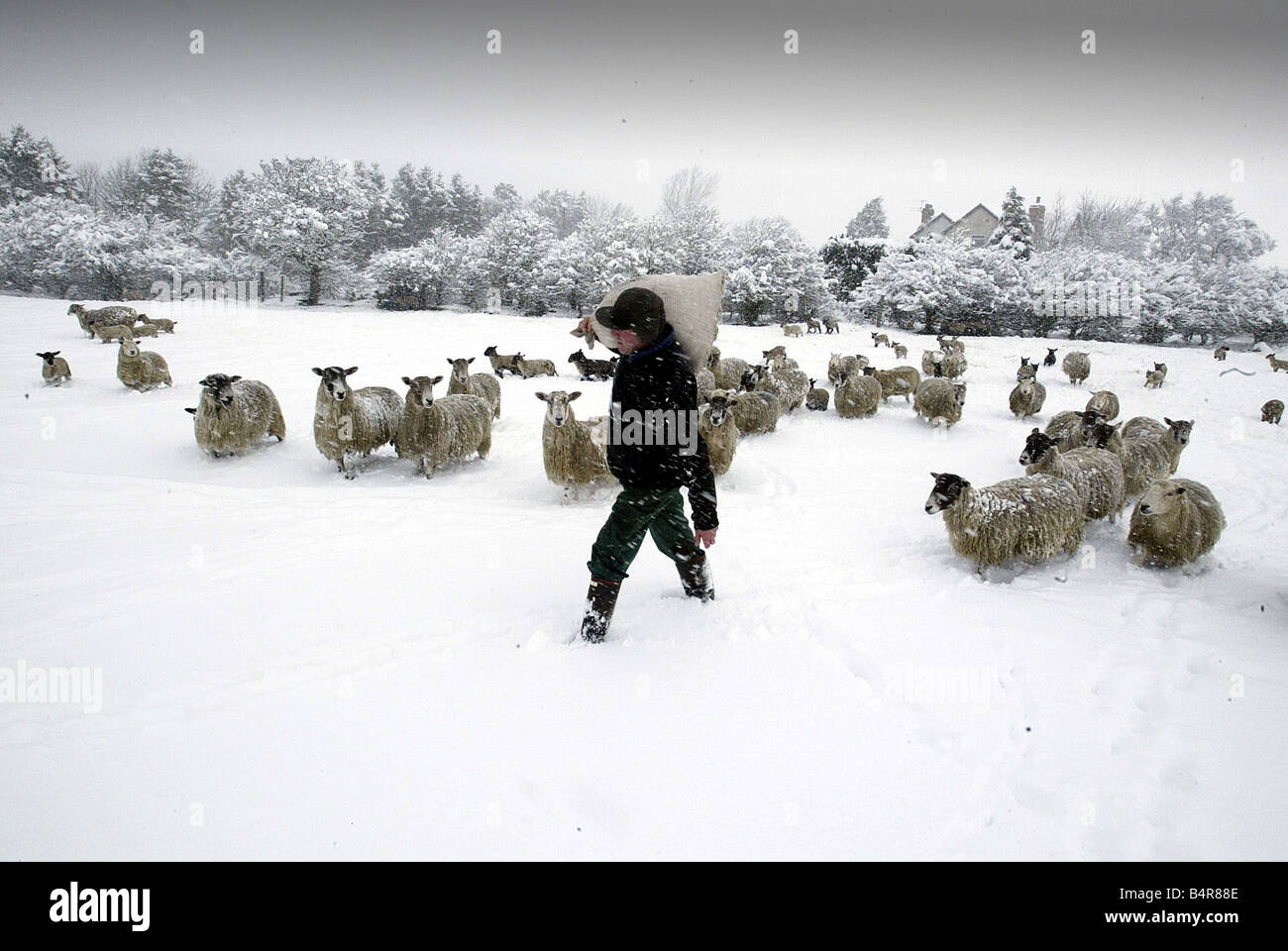 Winter Weather snow scenes February 2004 Farmer from Woodlands Close ...