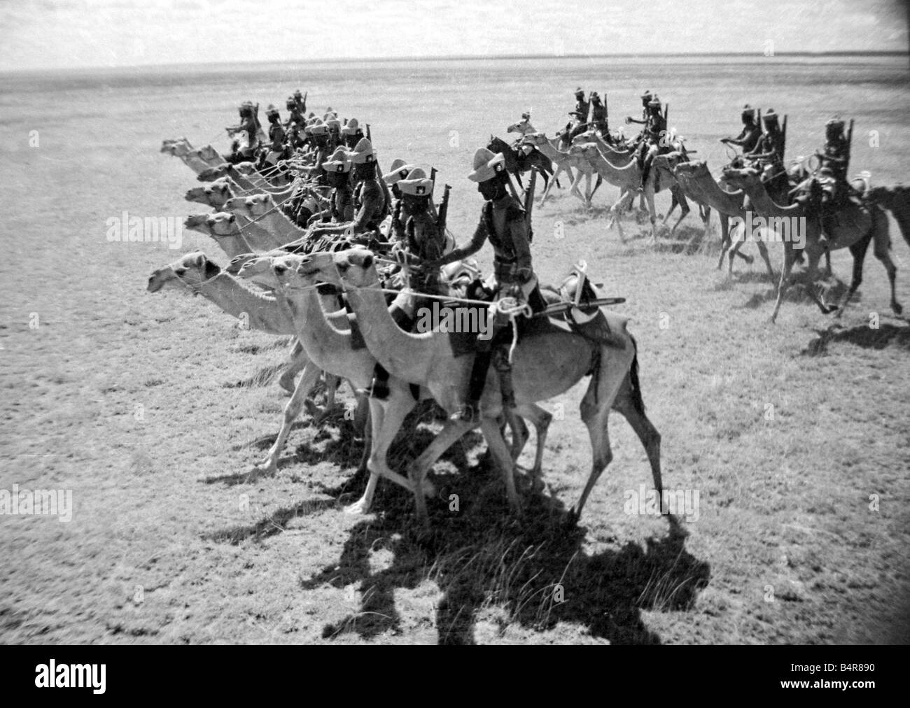 Somaliland Camel Corps in formation Stock Photo - Alamy